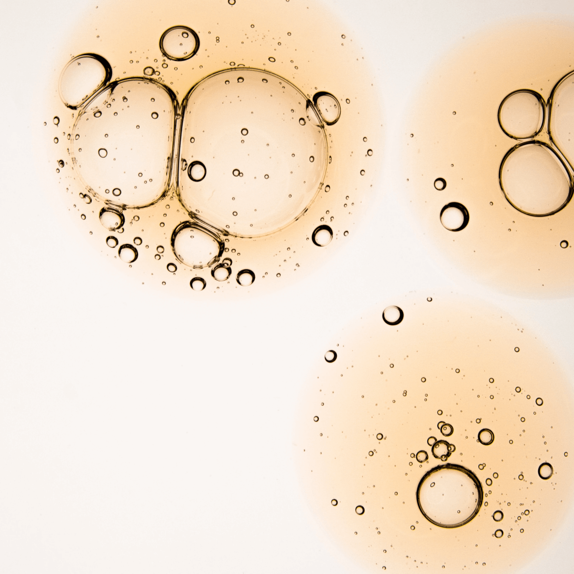 Vivid skin | Sister's Aroma